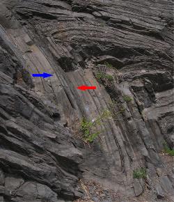 Earth Science Digital Image Library - Austin Glen Folding - SAS