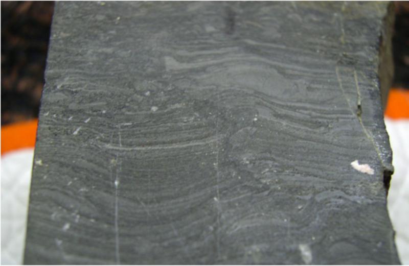 Earth Science Digital Image Library - Stromatolites - SAS